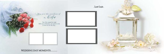 100+ Ready Made Wedding Album Creative Design 12x36 PSD Sheets