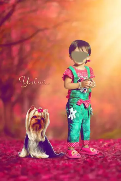 15 New Baby Studio Background PSD 2024 - StudioPk