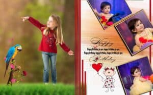 15x24 Birthday Photo Album Design PSD Templates - StudioPk