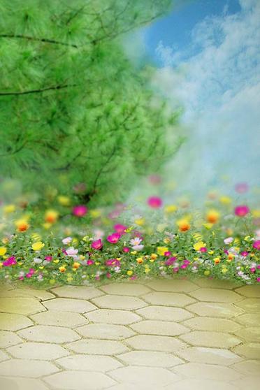 Photo Studio Background Psd 2022