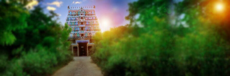 12x36 Wedding Album Background HD Free Download (2020)