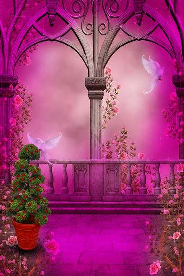 Karizma Album Background 12x8