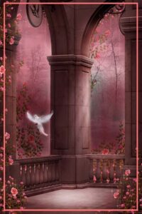 Studio Background PSD 8x12 Free Download - StudioPk