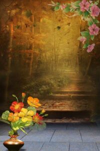 Studio Background PSD 8x12 Free Download - StudioPk