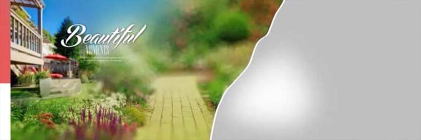 Wedding Album Background HD 12x36 Free Download - StudioPk