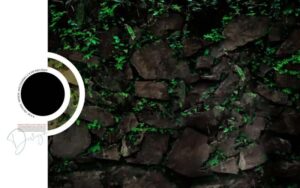 15X24 Album Design PSD Free Download - StudioPk