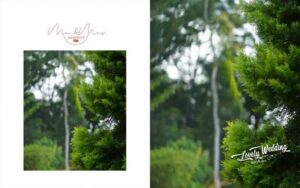 15X24 Album Design PSD Free Download - StudioPk