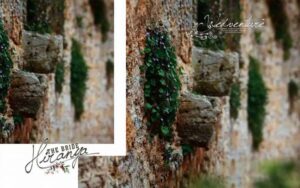 15X24 Album Design PSD Free Download - StudioPk