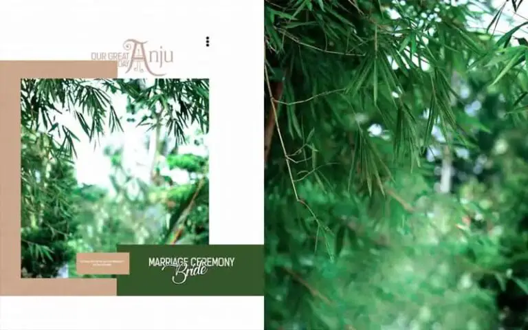 15X24 Album Design PSD Free Download - StudioPk